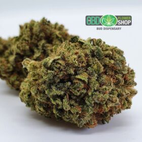 The CBD Flower Shop | Buy CBD Flowers & Buds Online