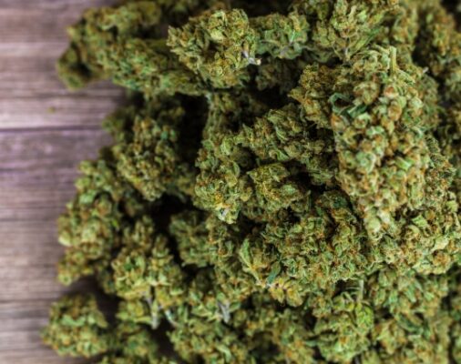 Popcorn Buds Vs Regular Flower Buds: Key Differences