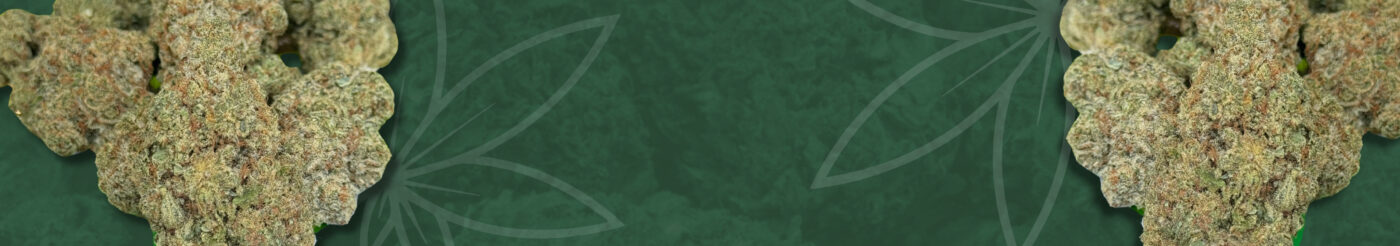 The CBD Flower Shop | Buy CBD Flower & CBD Products Online