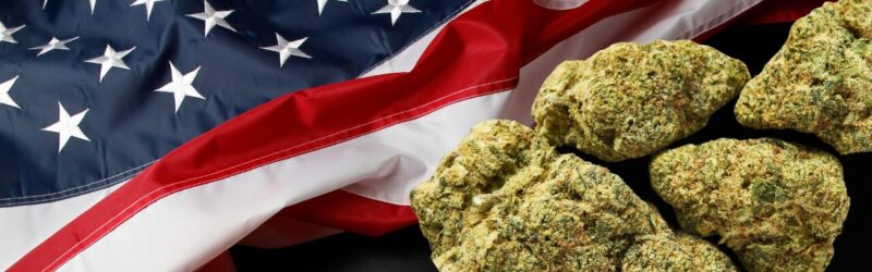 Buy Flow Gardens CBD Flower UK At The CBD Flowershop