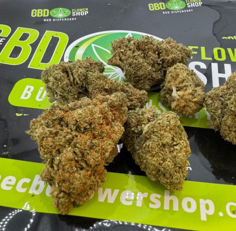 Jaffa Cake Strain CBD Flower – 17% CBD Indoor Hybrid