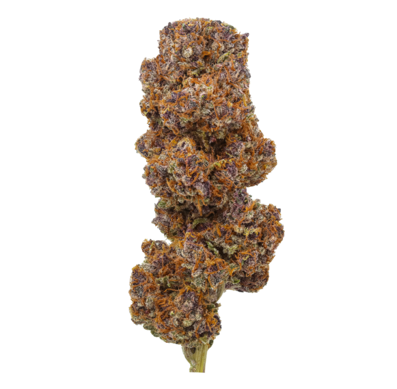 Flow Gardens Daiquiri Factory CBD Flower